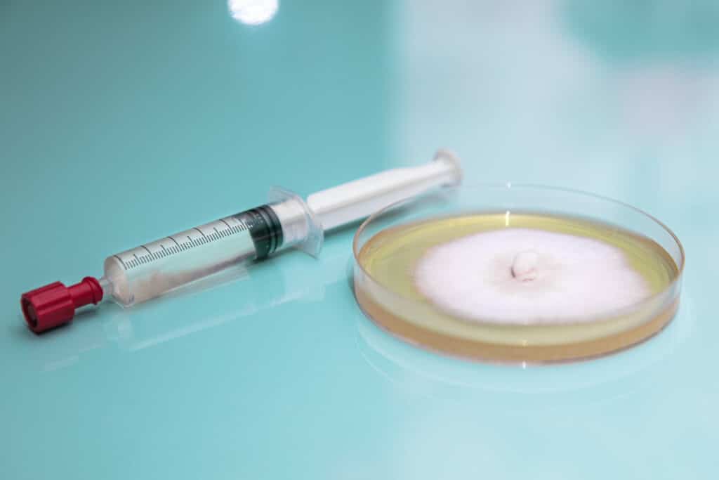 Spore Syringes & Liquid Culture Syringes | Fungi.org